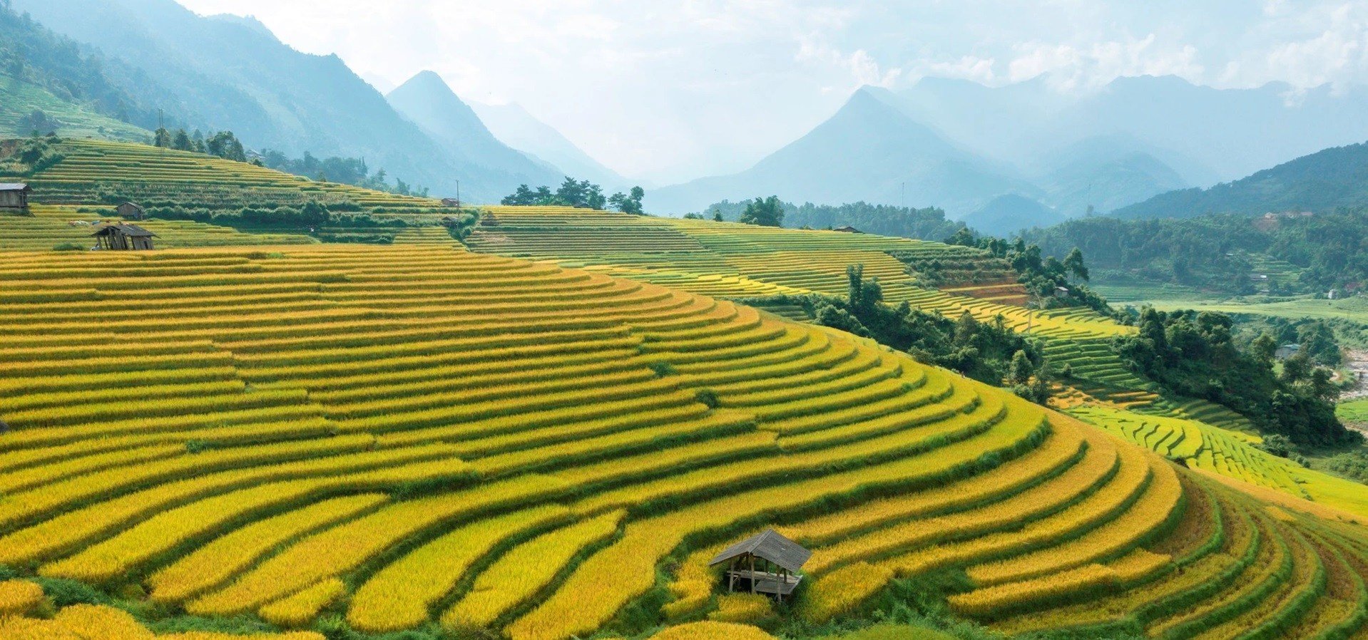 Quoi faire à Sapa, le joyau du nord du Vietnam